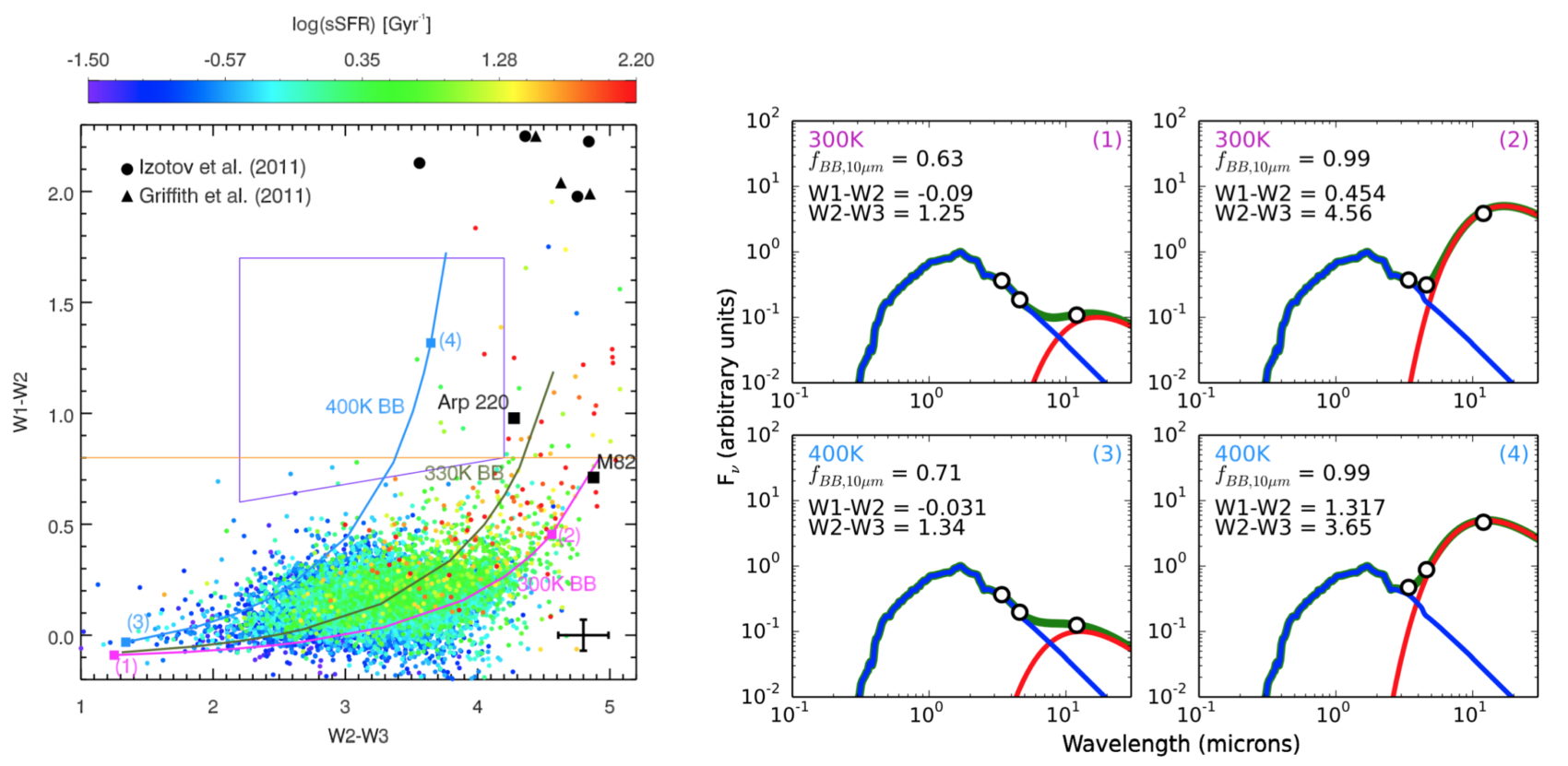 Kevin Hainline - ARC